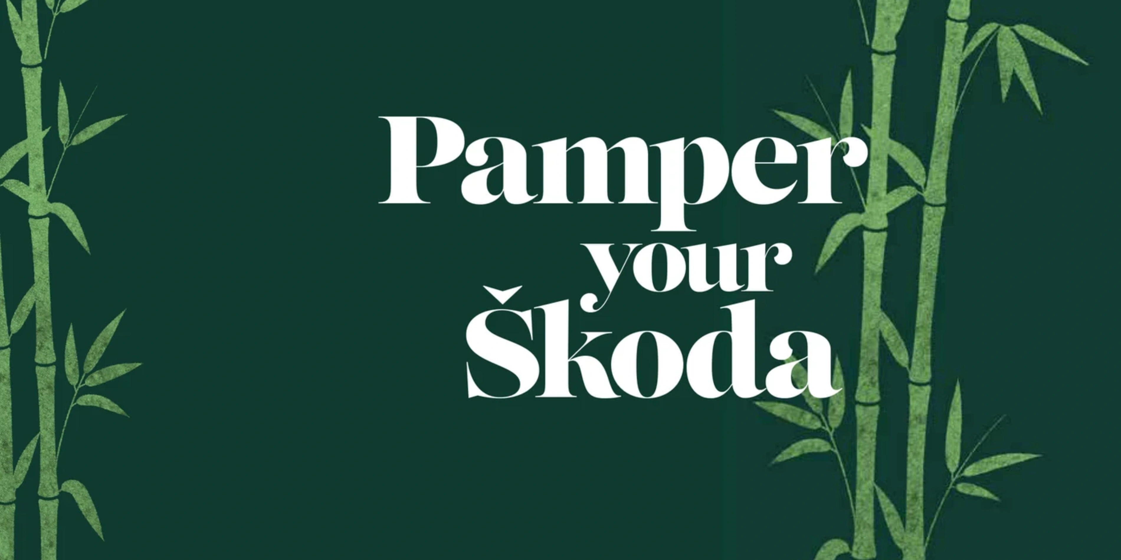 Affordable Skoda Service Plans | Meadens Skoda in Brockenhurst ...
